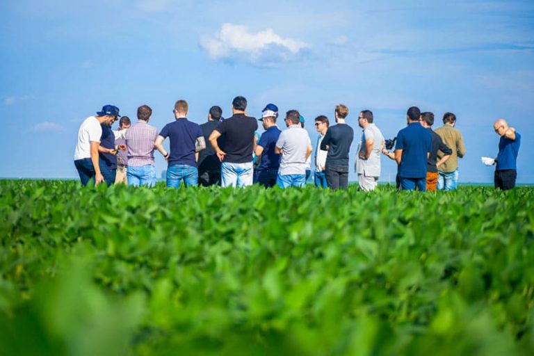 Hedge Agro - Consultoria Agronegócio Em Todo Brasil