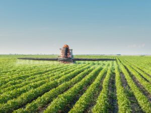 O Que São Defensivos Agrícolas: Importância e Como Usar